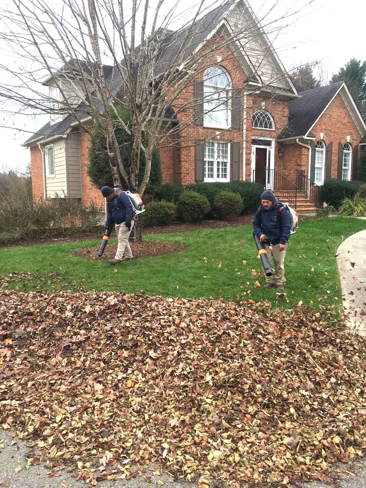 Leaf Removal Program - Fresh 365 Lawn Care, LLC